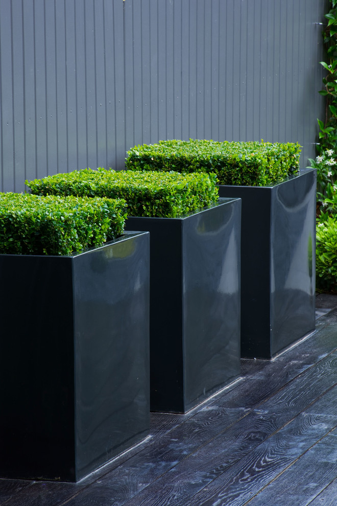 Jet Black Garden - Contemporary - Landscape - London - by Charlotte ...