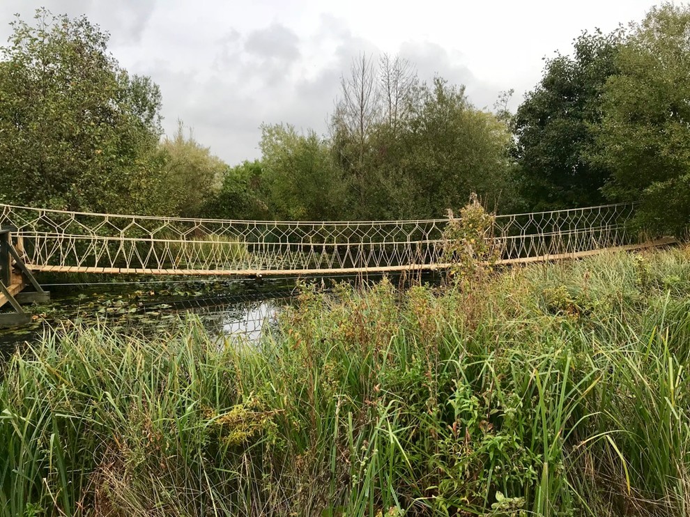 Lake Rope Bridge for London Wetlands Centre 'Wild Walk' project ...