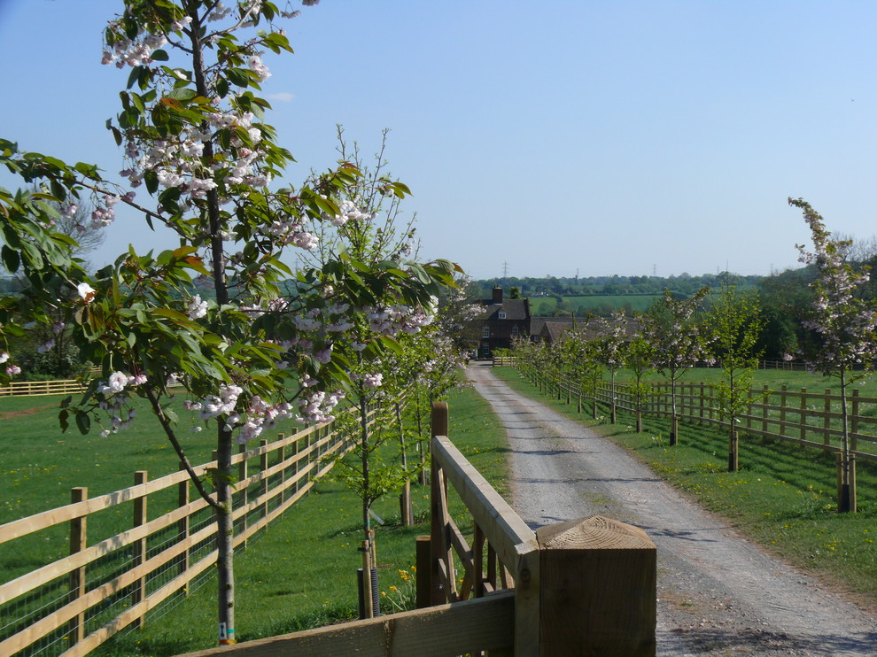 Landscaping - Planting of Trees - Traditional - Landscape - West ...