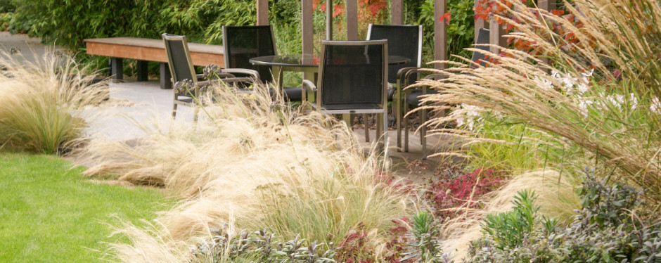 Large Modern Contemporary Garden - Contemporary - Landscape ...