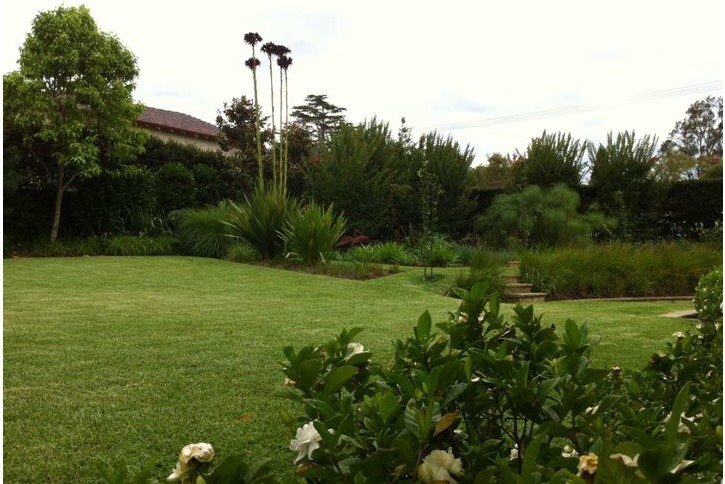 Lawn Area - Garden - Sydney - by Urban Meadows | Houzz IE