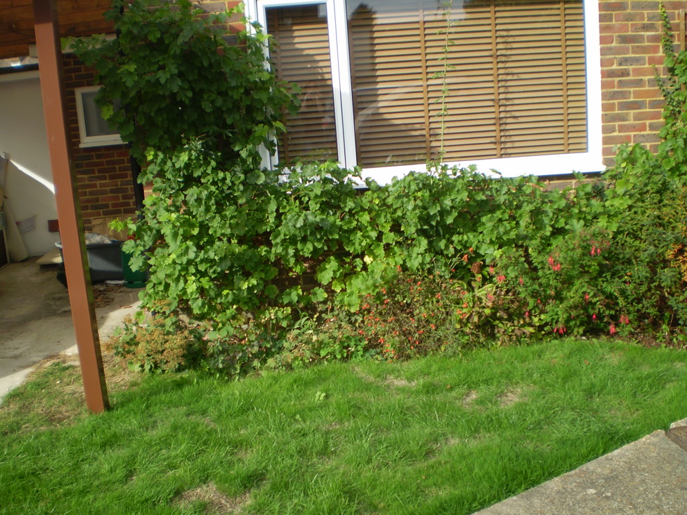 Low maintenance front garden - Contemporary - Landscape - by Anita ...