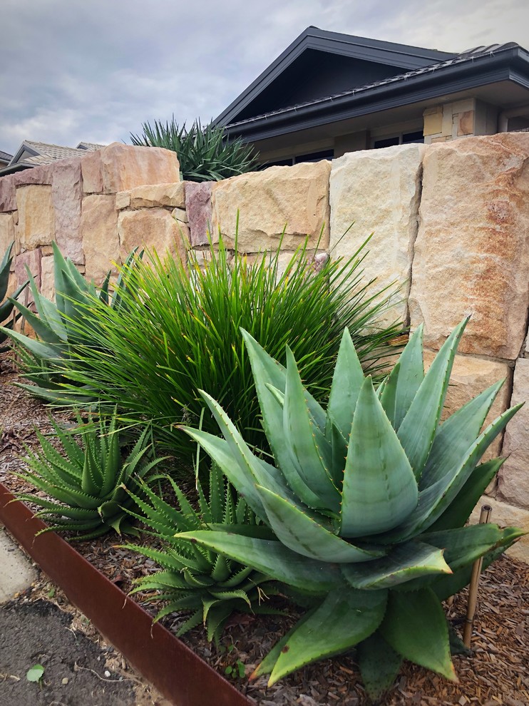 Low Maintenance Front Yard Makeover - Modern - Landscape - Sydney - by ...