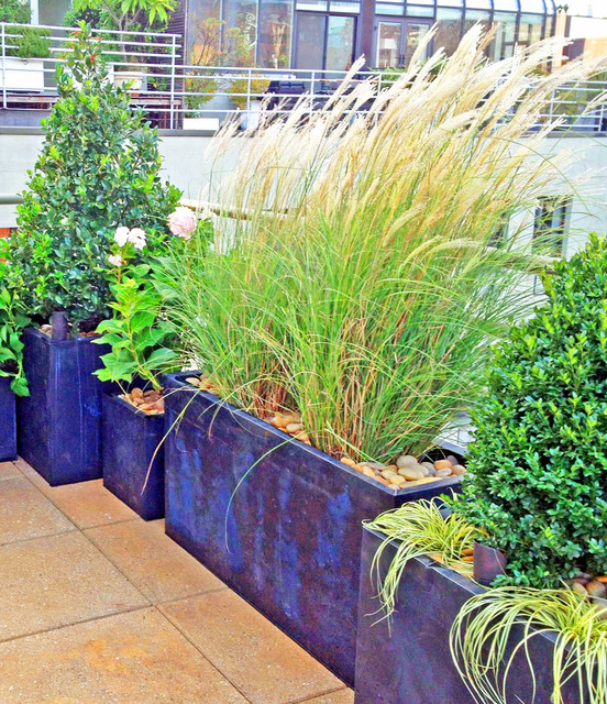 Lush West Village Rooftop Garden with Container Plants in Metal Pots ...