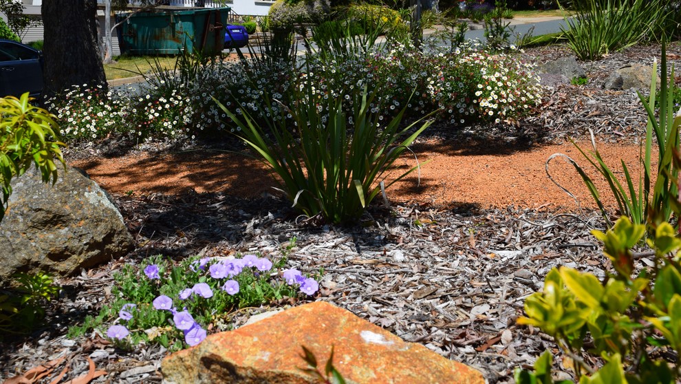 Macquarie - Contemporary - Landscape - Canberra - Queanbeyan - by ...