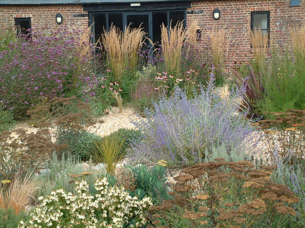 Mediterranean Coastal Garden - Coastal - Garden - Sussex - by Mark ...