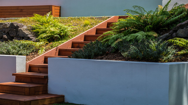 Mega Makeover - Clásico - Jardín - Auckland - de Peter Fry Landscapes | Houzz