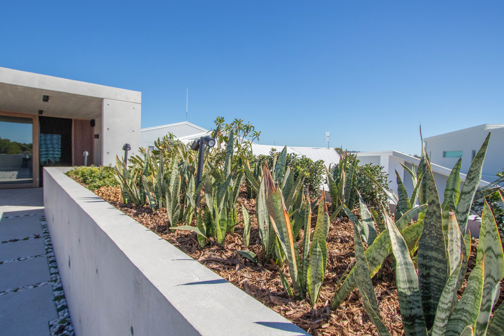 Modern Rooftop Garden - Modern - Landscape - Sunshine Coast - by ...
