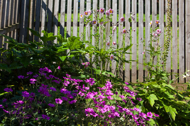 Modern Split- level Garden - Modern - Garden - Edinburgh - by Lempsink ...