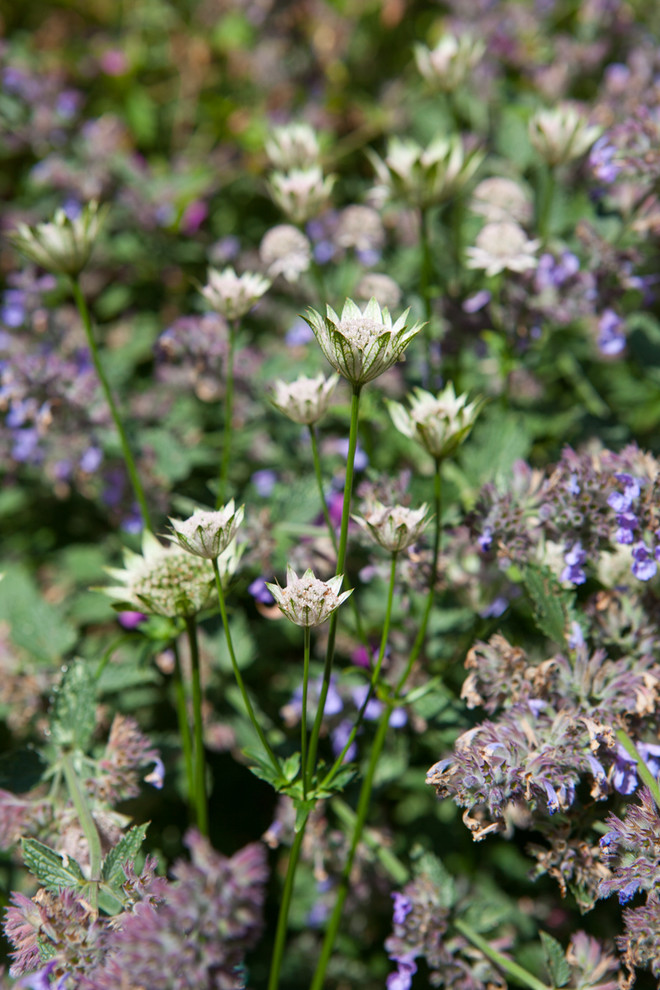 Modern Split- level Garden - Modern - Landscape - Edinburgh - by ...