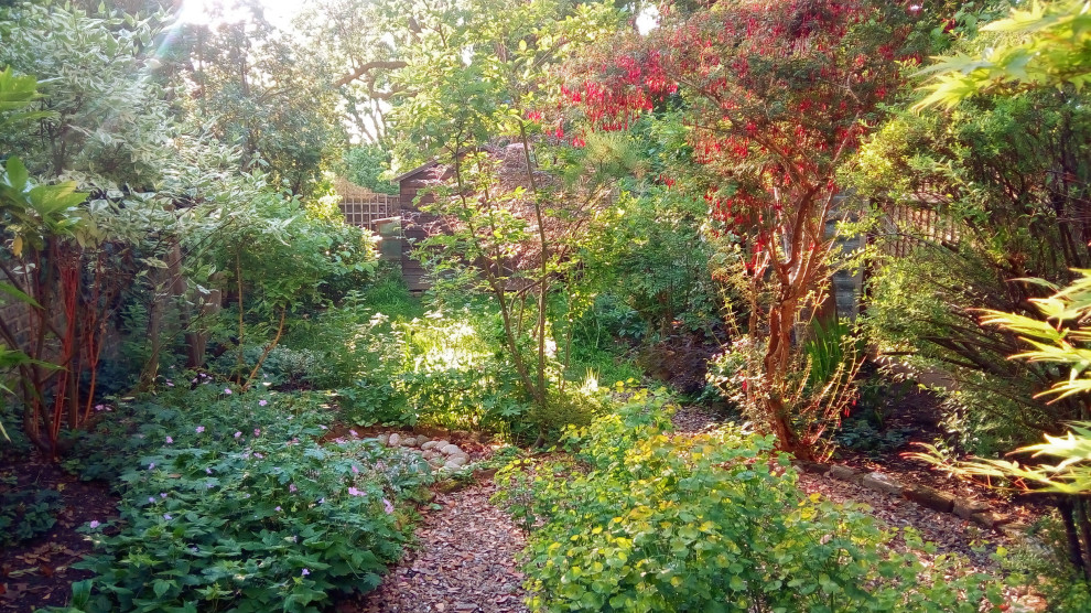 My own garden! - Landscape - Kent - by Lovely Gardens | Houzz