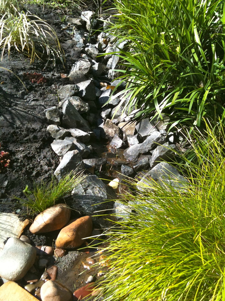 Natural stream water feature - Eclectic - Landscape - Perth - by ...