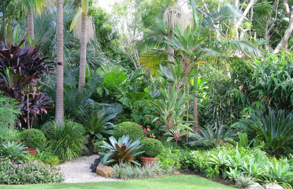 Nevell Garden - Tropical - Landscape - Sydney - by Garden Expressions ...
