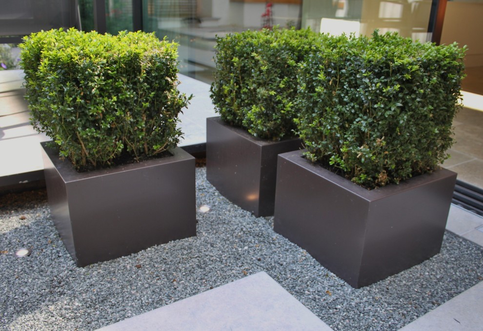 Notting Hill Courtyard Garden - Contemporary - Landscape - London - by ...