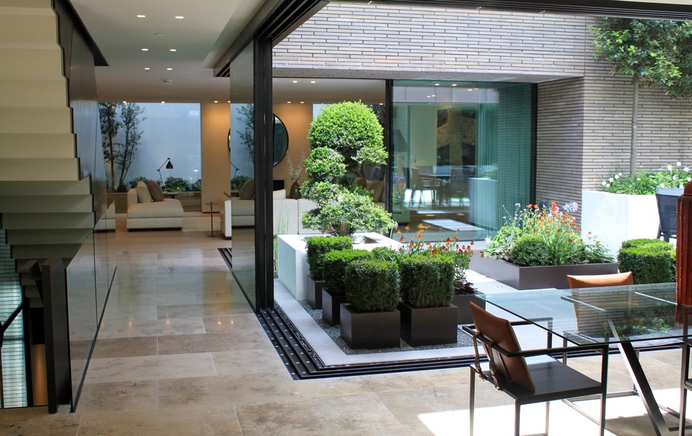 Notting Hill Courtyard Garden - Contemporary - Landscape - London - by ...