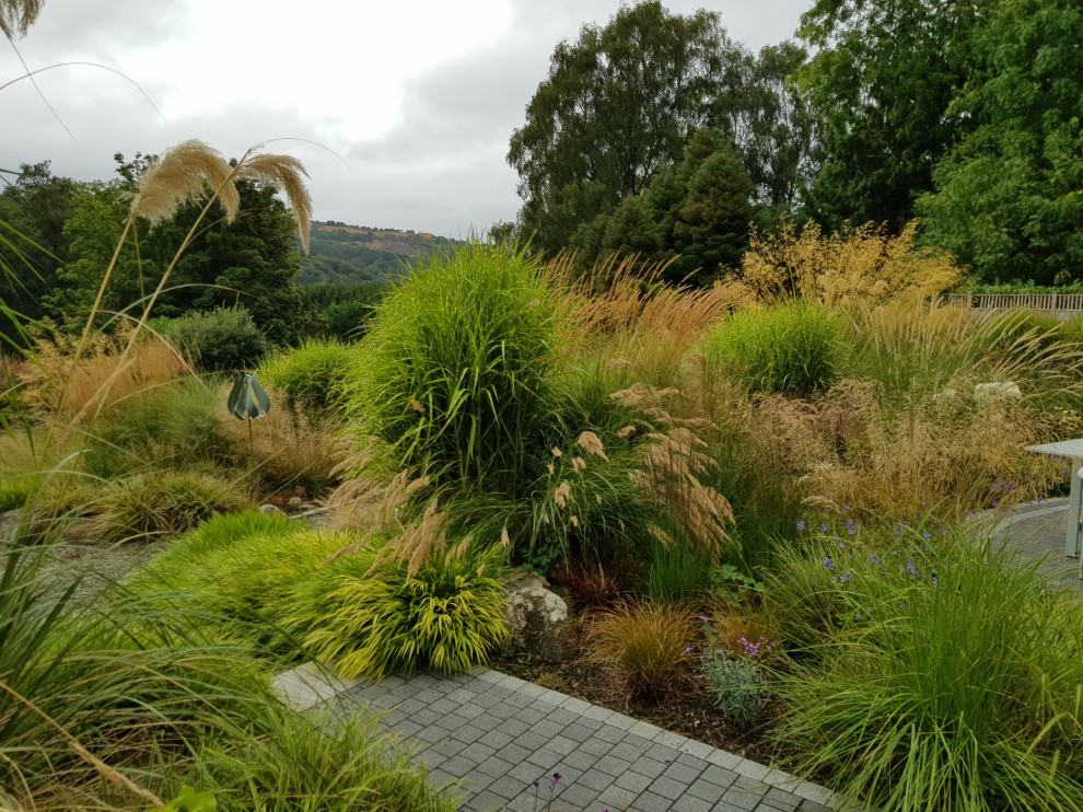 Ornamental Garden Design - Contemporary - Landscape - Dublin - by ...
