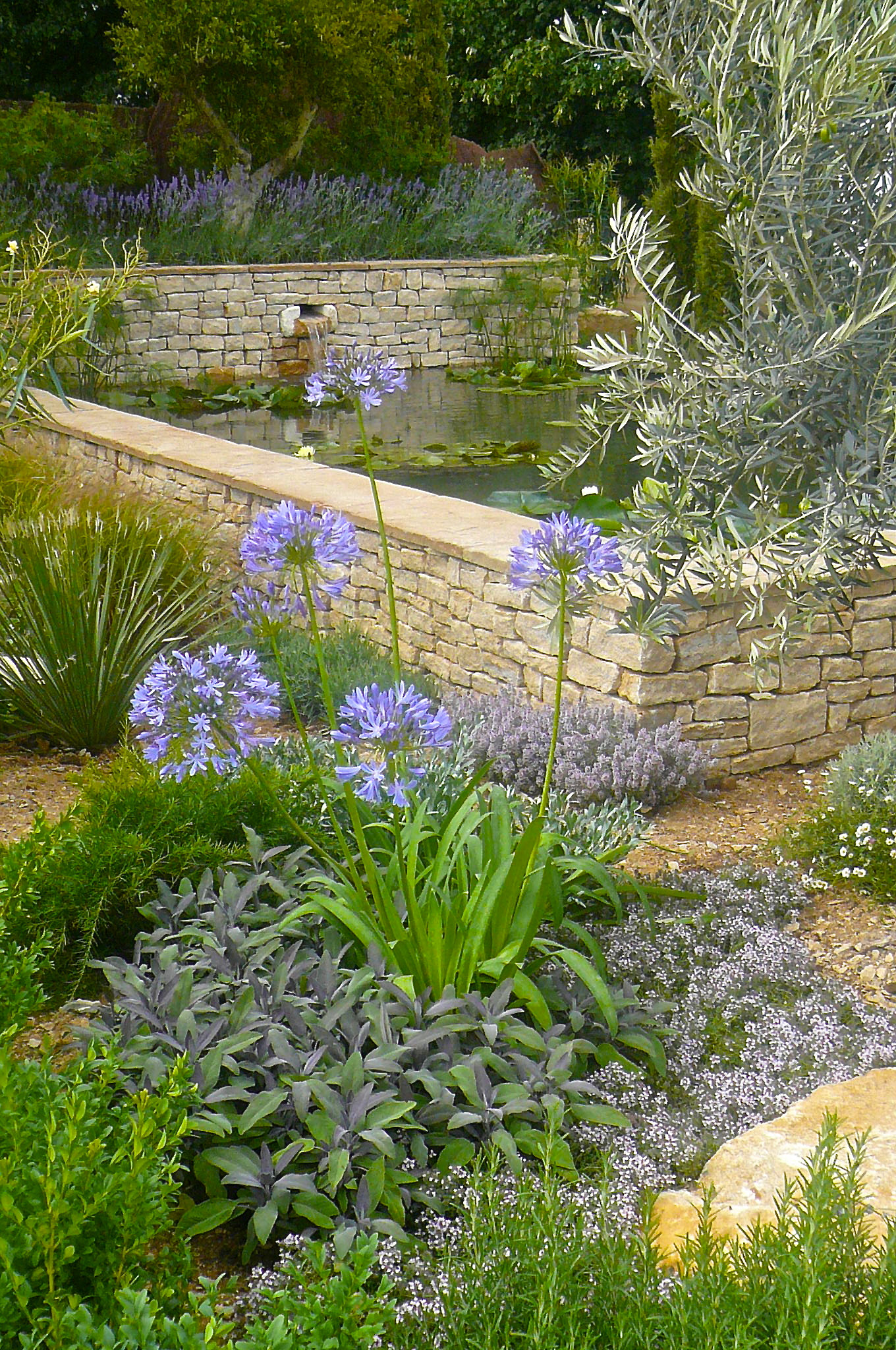 El huerto-jardín: Dos conceptos en un único espacio