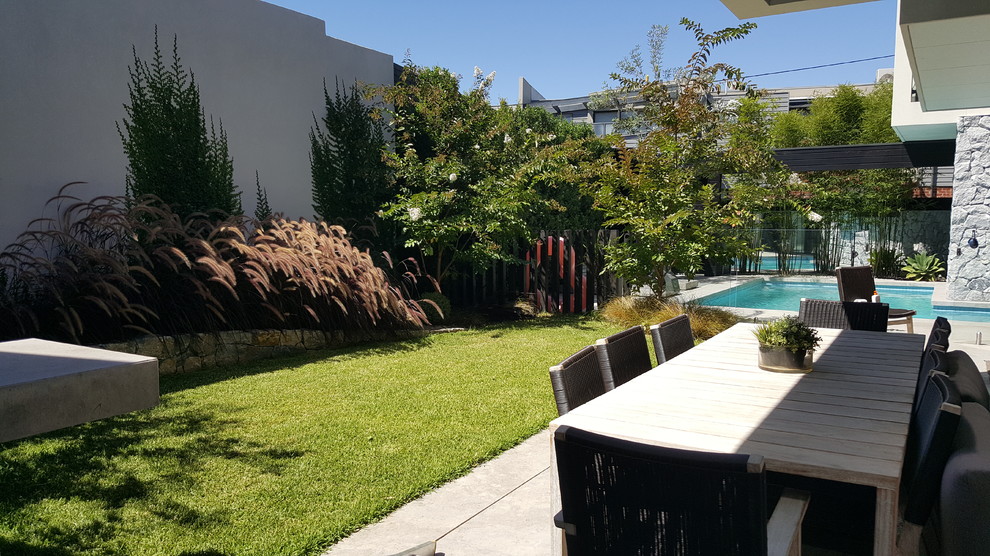 Pool Elegance - Modern - Landscape - Melbourne - by Clapham Landscape ...