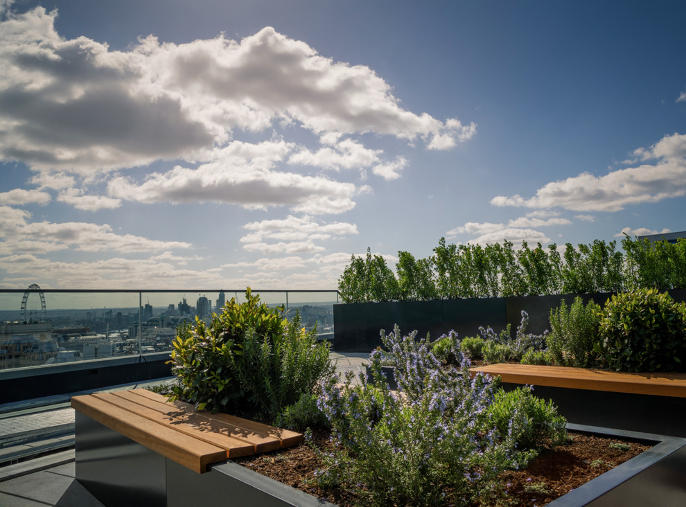 Post Building London - Contemporary - Landscape - London - by ...