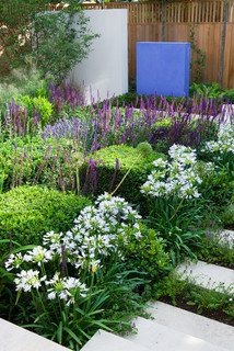 Reflection Garden - Contemporary - Garden - London - by Charlotte Rowe ...