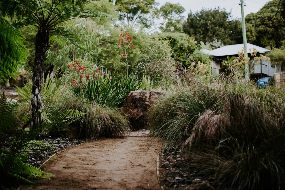 Residential Native Garden - Contemporary - Landscape - Sunshine Coast ...