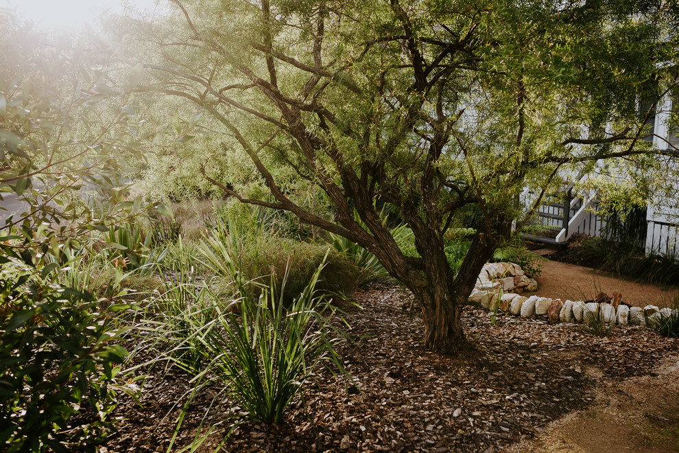 Residential Native Garden - Contemporary - Landscape - Sunshine Coast ...