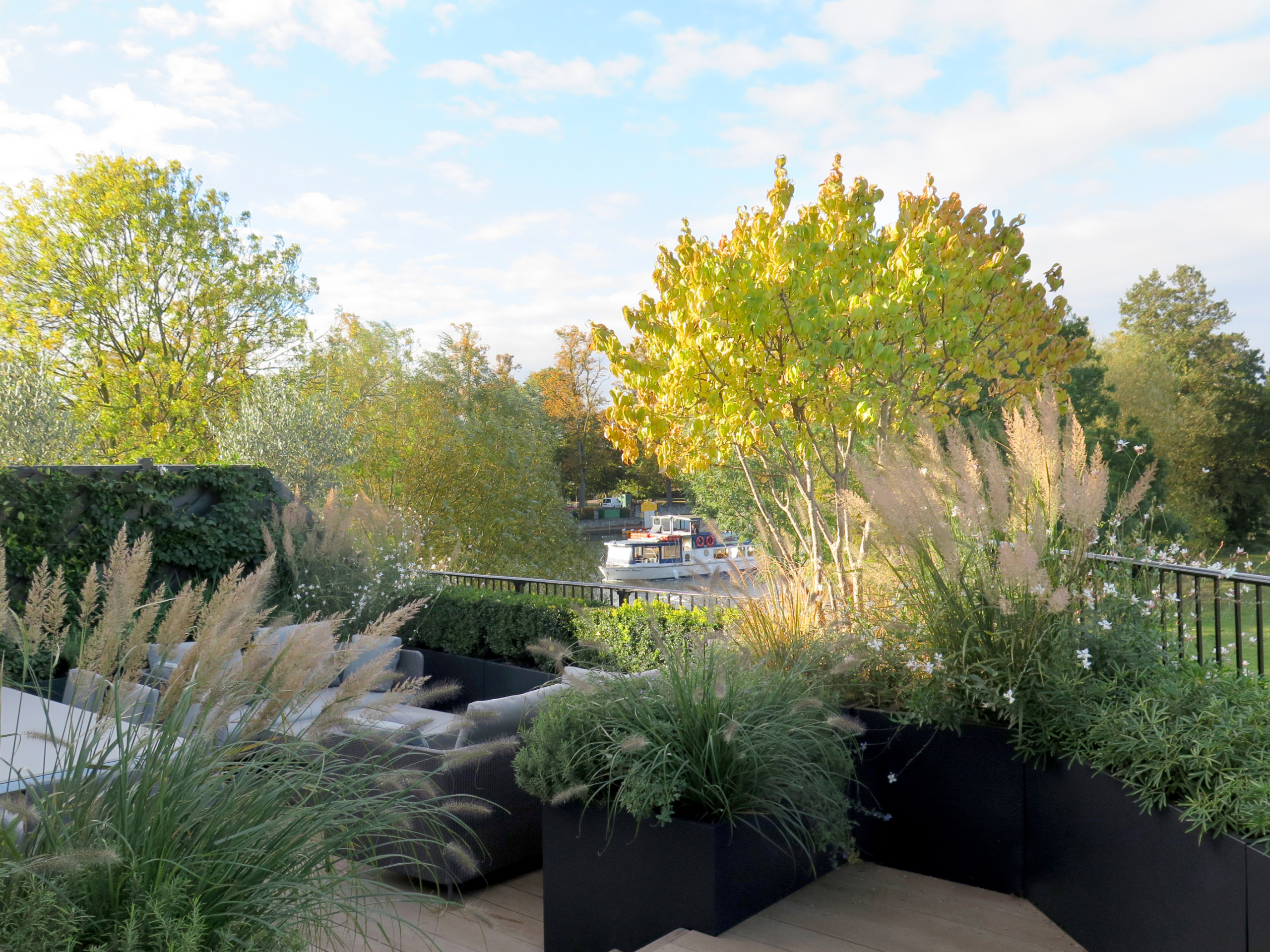 19 Gardens Where Grasses Are Key | Houzz UK
