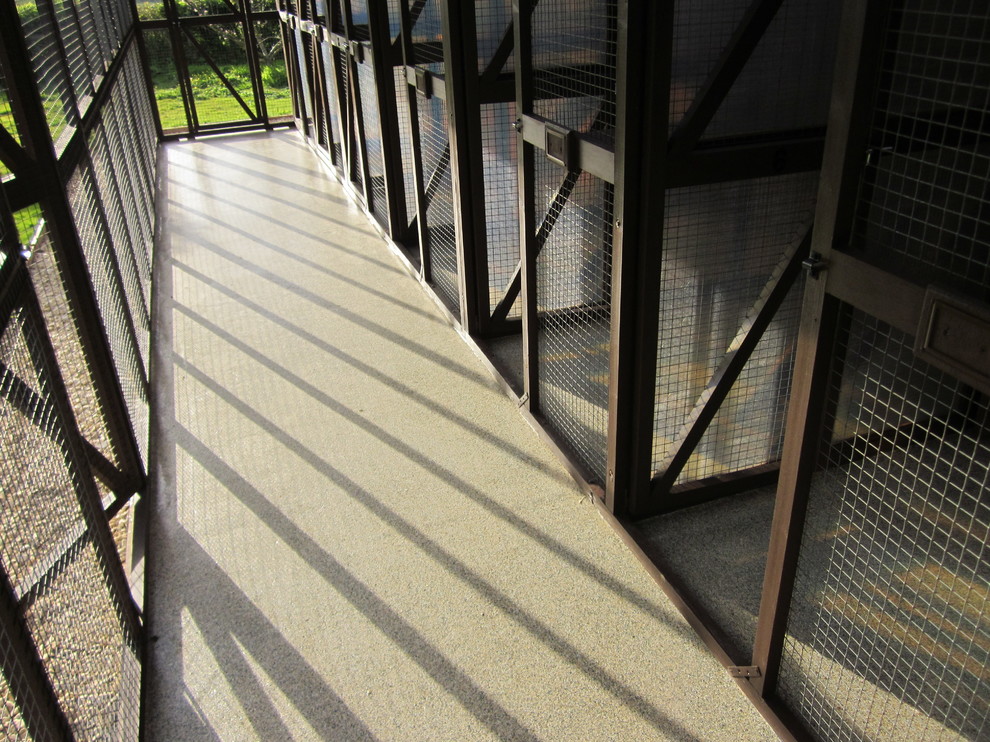 SEAMLESS POLYASPARTIC FLOOR INSTALLED IN CATTERY AT HEREFORD PROPERTY ...