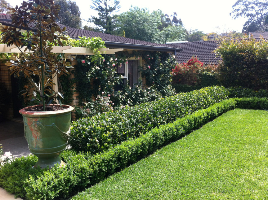 Semi Formal garden - Traditional - Landscape - Sydney - by Urban ...