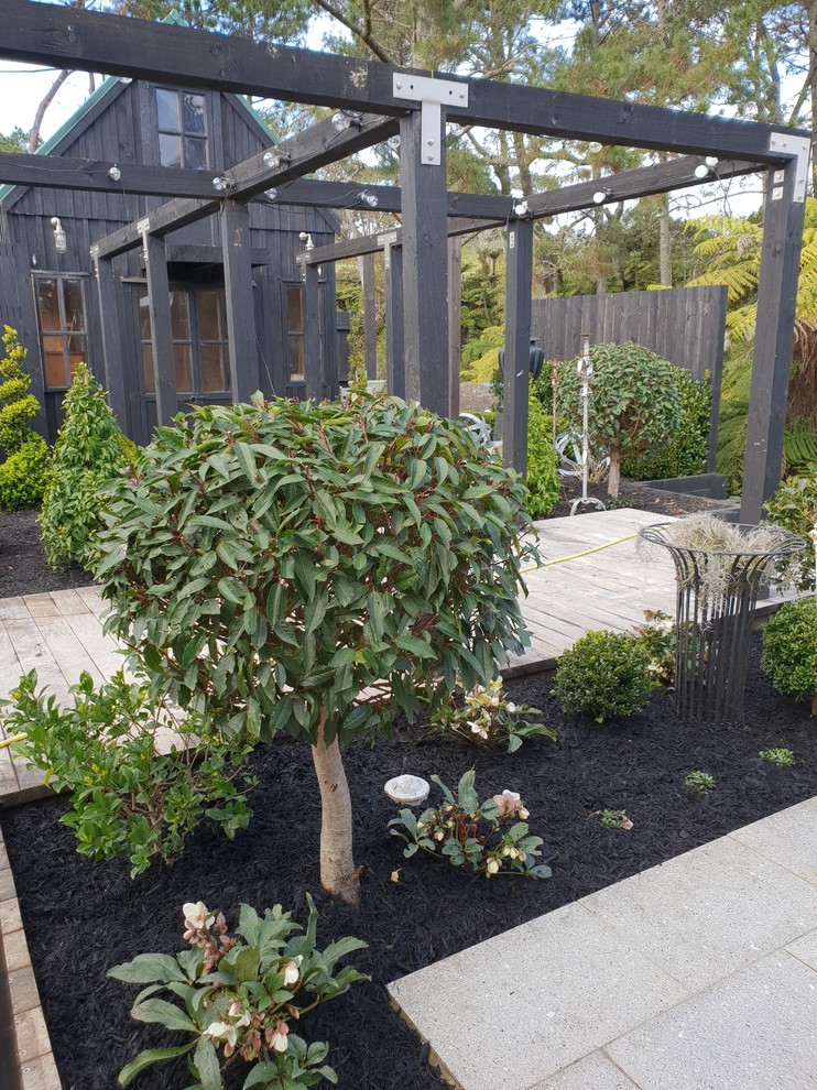 Shapes, Topiaries, clipped back & sides that make a difference in your ...