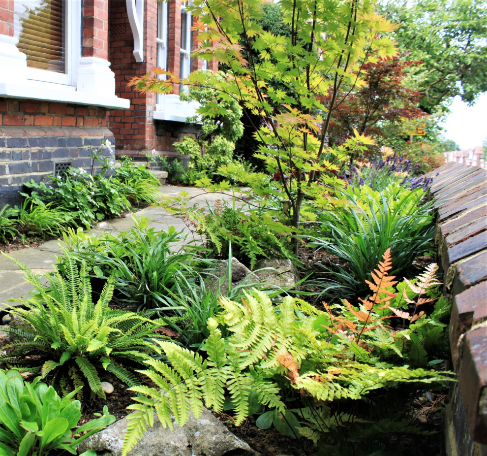 Small Front Garden: Simple Planting - Contemporary - Garden - London ...