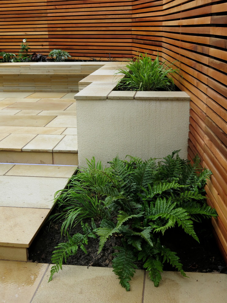 Small garden enhanced visually with horizontal Western Red Cedar ...