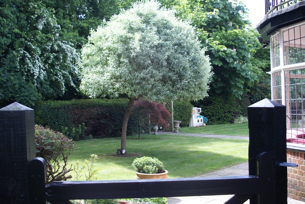 Small projects - Traditional - Garden - Cheshire - by Green Tree Garden ...