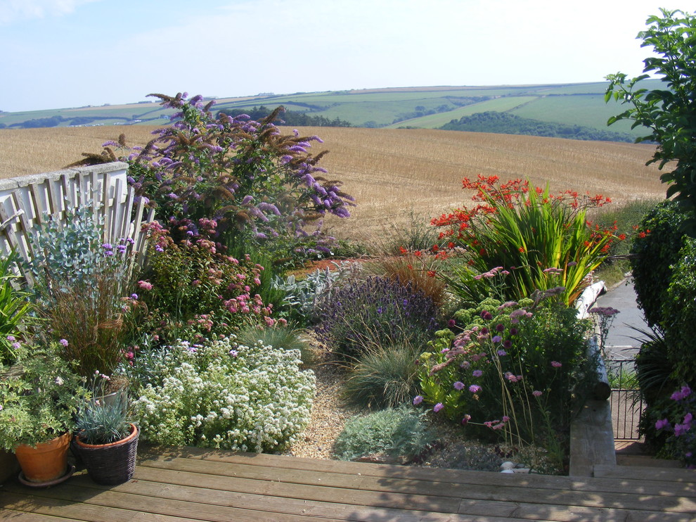 Small South-Facing Garden - Beach Style - Landscape - Other | Houzz