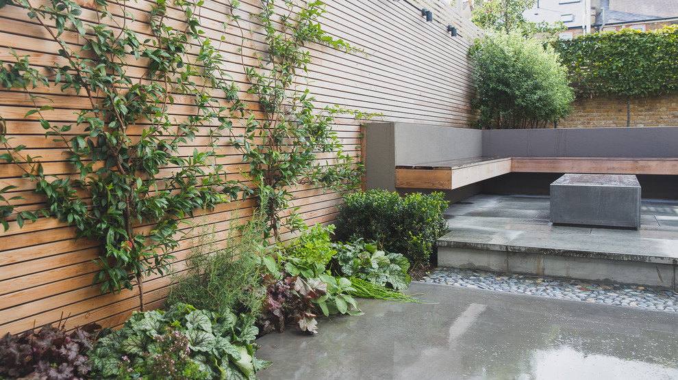 South West London Garden - Contemporary - Landscape - London - by ...