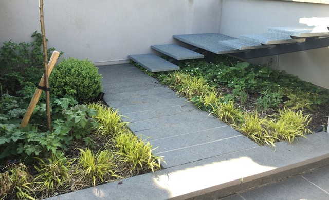 Split level Terrace - Contemporary - Garden - Essex - by Holland ...