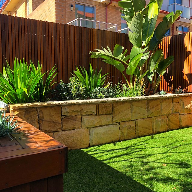 Stone & Hardwood Timber Courtyard Makeover - Moderne - Jardin - Sydney ...