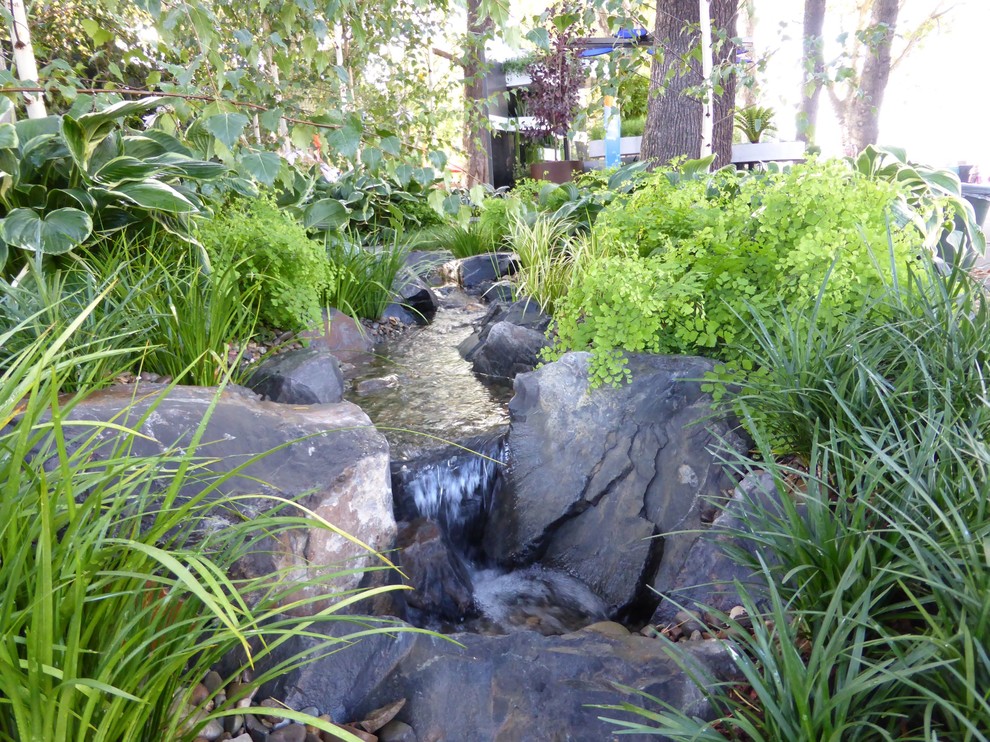 Stream ending in a waterfall - Rustic - Landscape - Other - by Ben ...