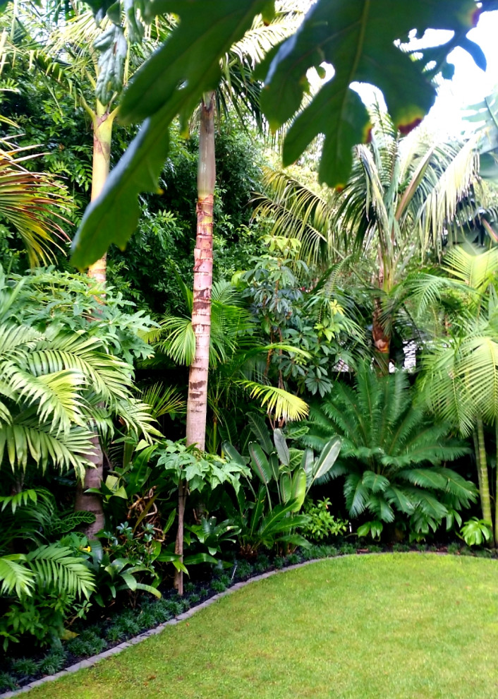 Sub tropical Garden Greenlane - Tropical - Landscape - Auckland - by J ...
