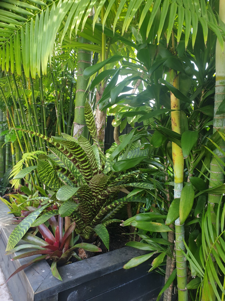 Sub tropical Garden Greenlane - Tropical - Landscape - Auckland - by J ...