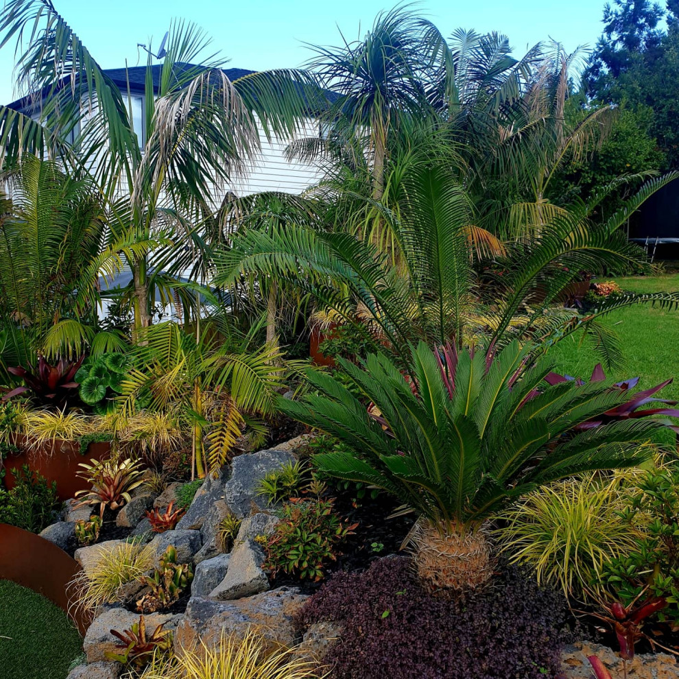 Sub tropical gardens - Tropical - Landscape - Auckland - by J M ...