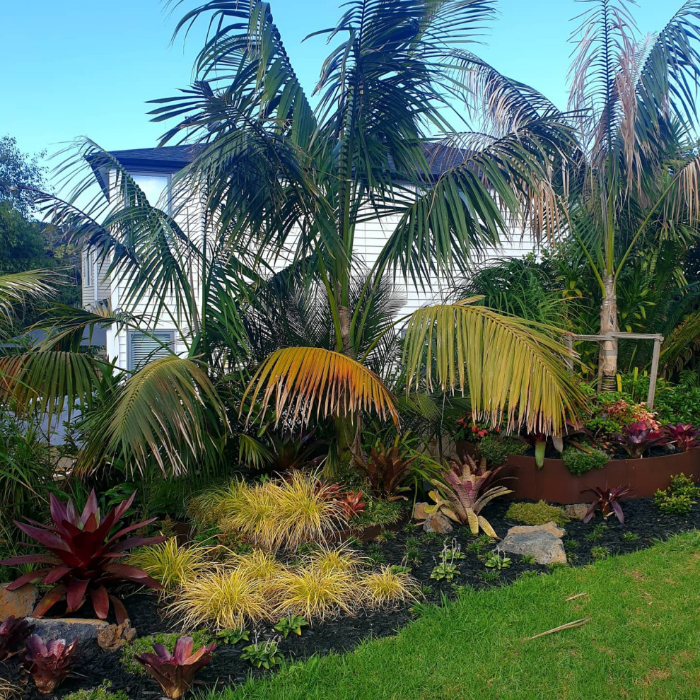 Subtropical steeply sloped Paradise - Tropical - Landscape - Auckland ...