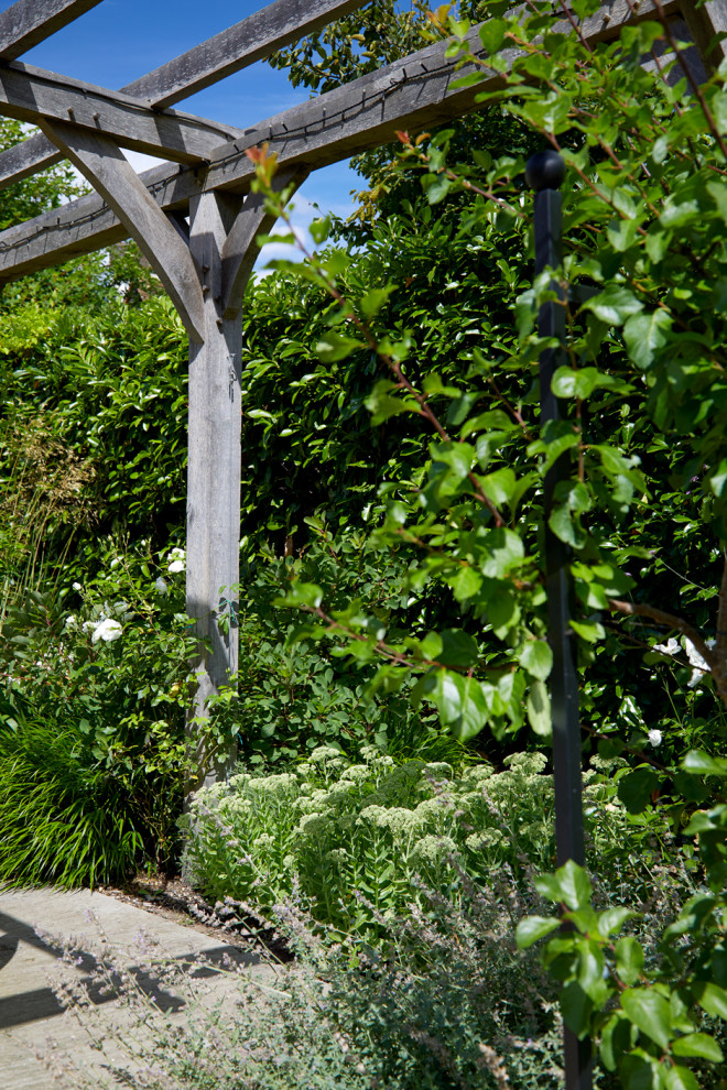 Surrey - Landscape - London - by Ed Oddy Garden Design | Houzz