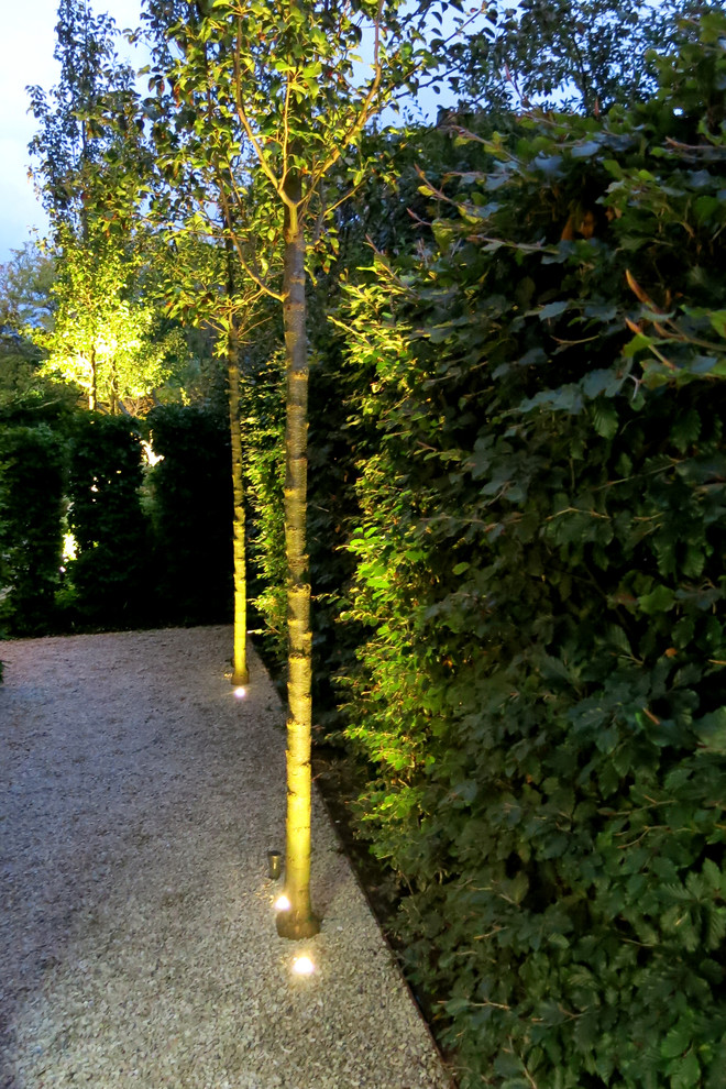 Surrey Garden - Contemporary - Landscape - London - by Charlotte Rowe ...