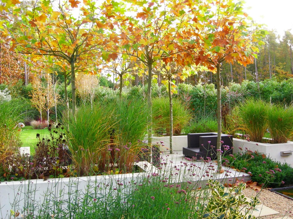 the howard garden - Contemporary - Landscape - Surrey - by Landscape ...