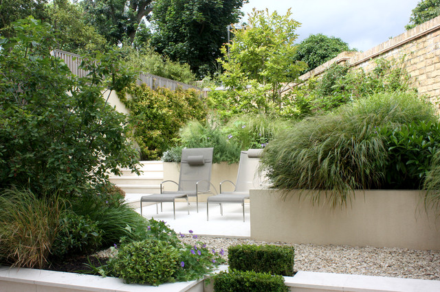 Triangular garden - Contemporary - Garden - London - by Charlotte Rowe ...