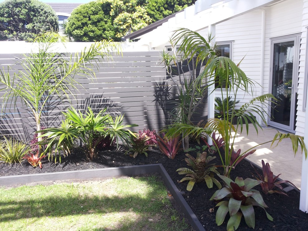 Tropical plant combinations - Tropical - Garden - Auckland - by Fusion ...