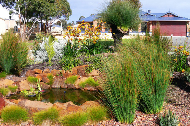 Verge Garden - Garden - Perth - by Sustainable Outdoors | Houzz AU