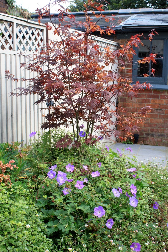 Victorian Terrace Garden: Winslow, Bucks. - Victorian - Landscape ...