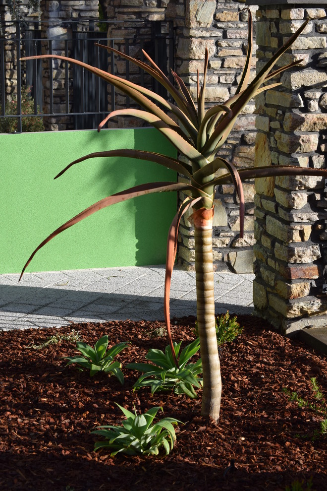 Waterwise Garden - Contemporary - Landscape - Perth - by Nouveau Garden ...